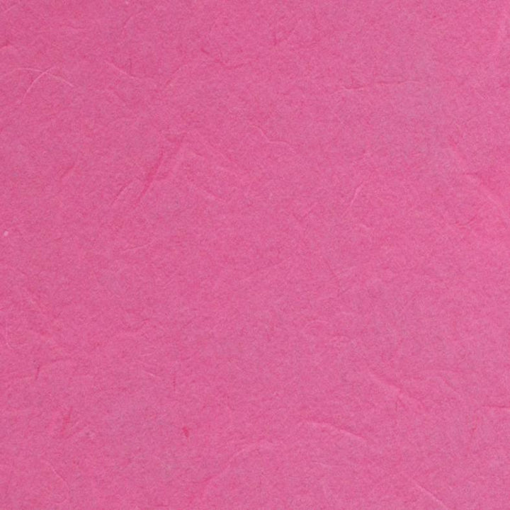 Student, 16-26 and apprentice discount with Pink Pig – The Pink Pig